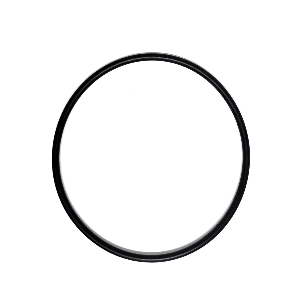 Aqua-Pure 63597-174C O-Ring Gasket– Water-Softeners-Filters.com